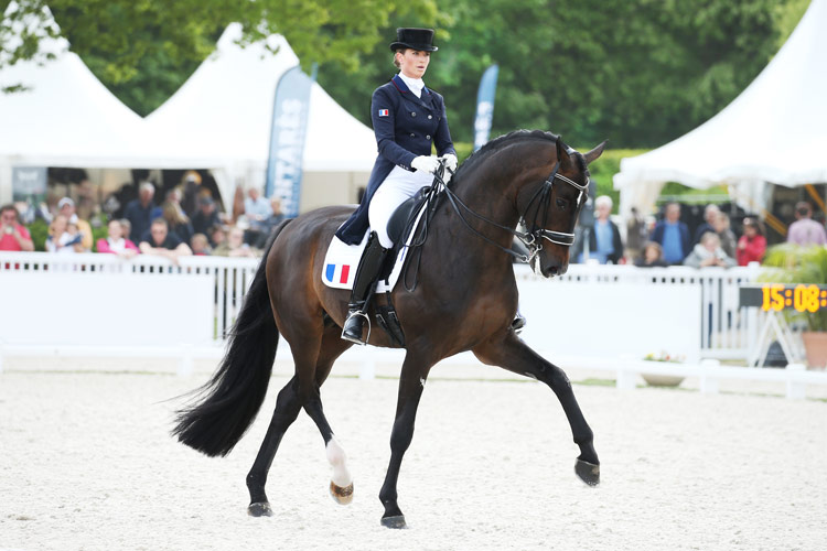 Accueil - EQUIACTION - Fonds de dotation de la Fédération Française d ...